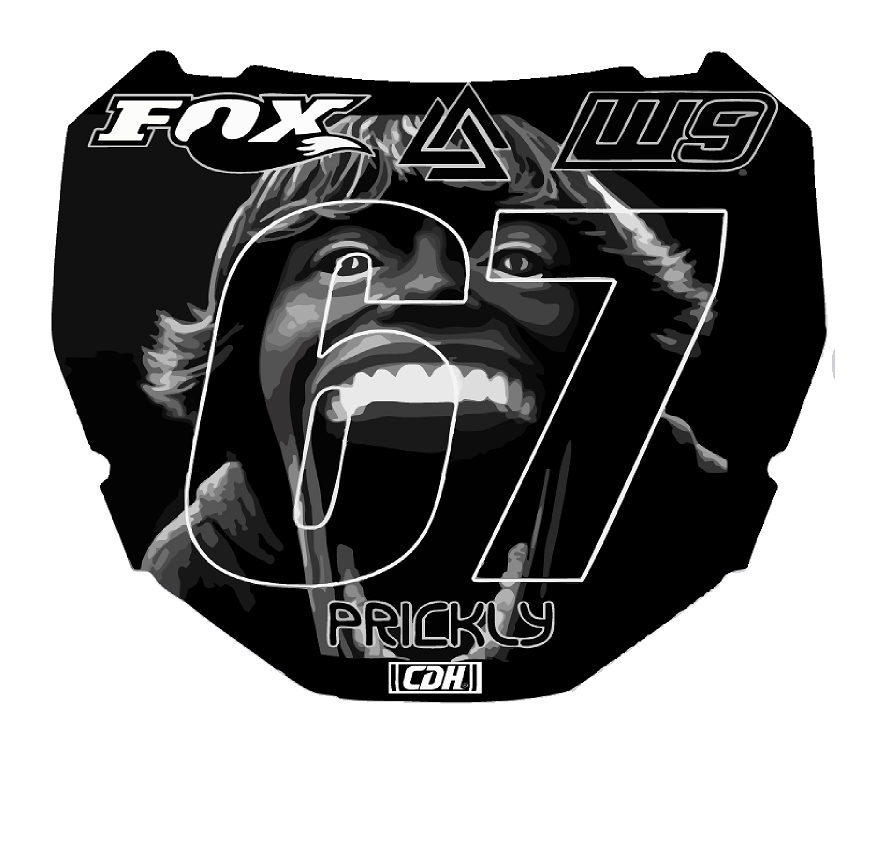 Limited Edition Plate Decal |Custom Decal House CDH